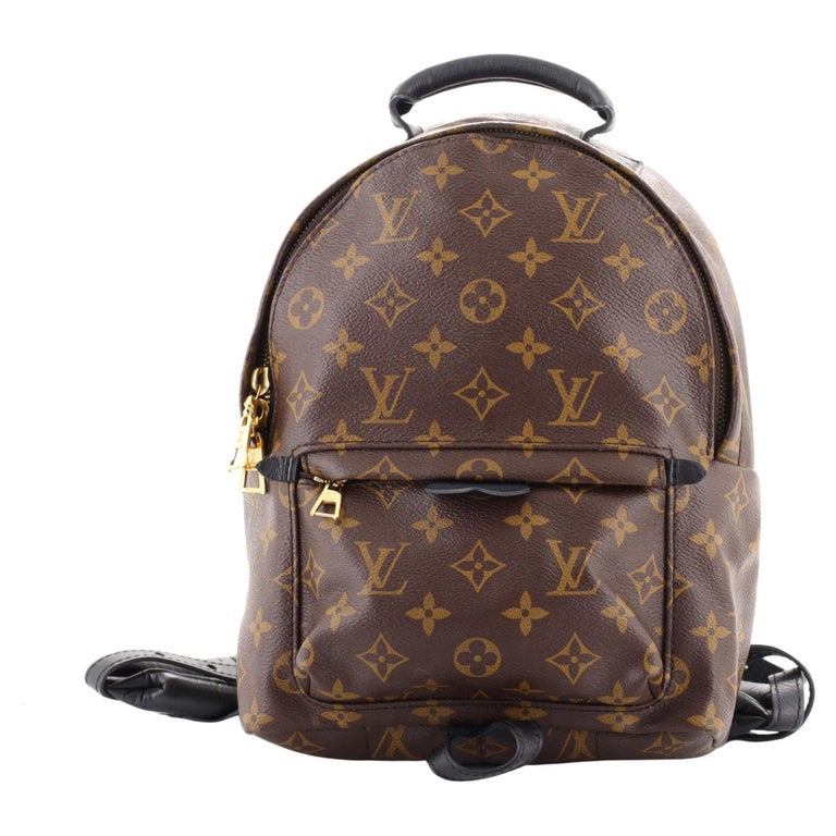 Louis Vuitton Palm Springs Backpack Monogram Canvas PM at 1stDibs