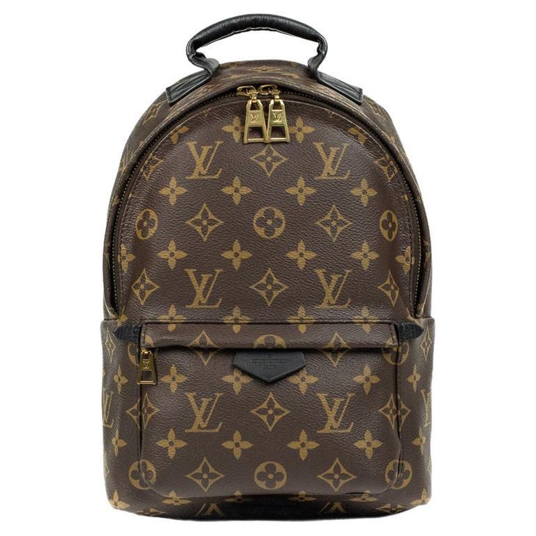 LOUIS VUITTON, Palm Springs in brown monogram canvas at 1stDibs