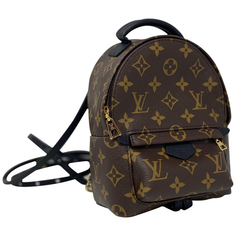 Louis Vuitton Palm Springs Mini Backpack at 1stDibs