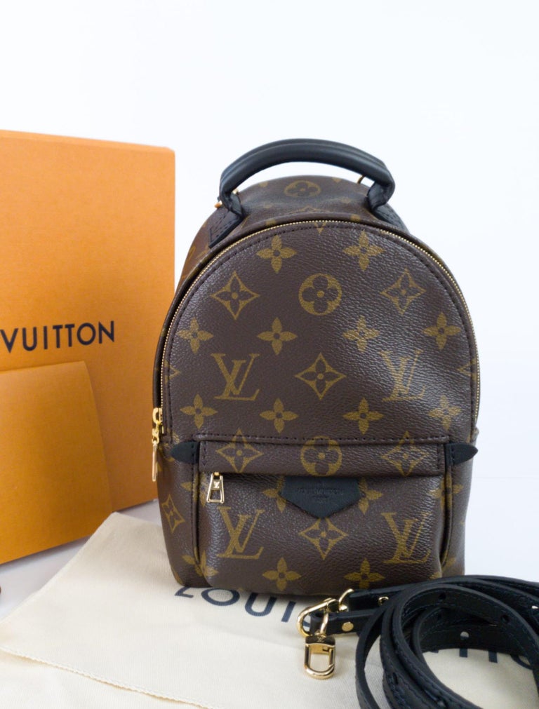 Louis Vuitton Palm Springs Mini For Sale at 1stDibs