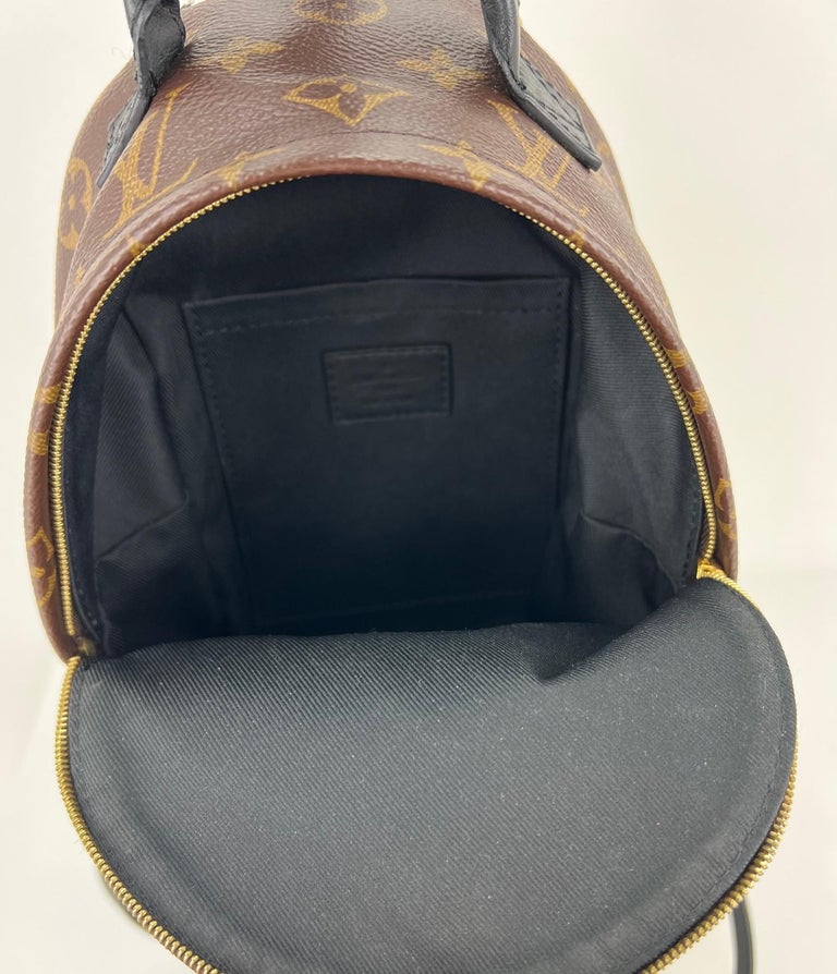 Louis Vuitton Palm Springs Mini Monogram Canvas Backpack Travel School ...