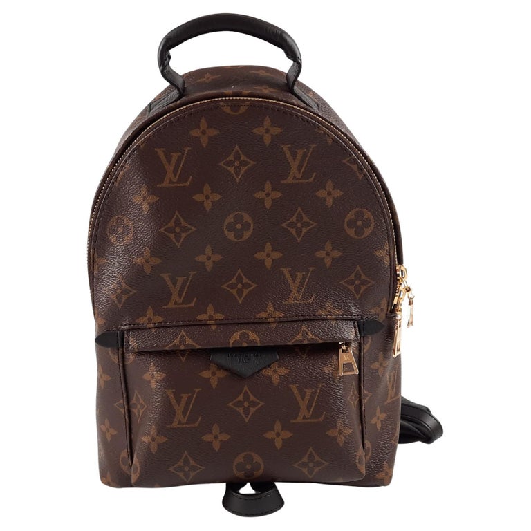 Louis Vuitton Palm Springs PM Backpack For Sale at 1stDibs