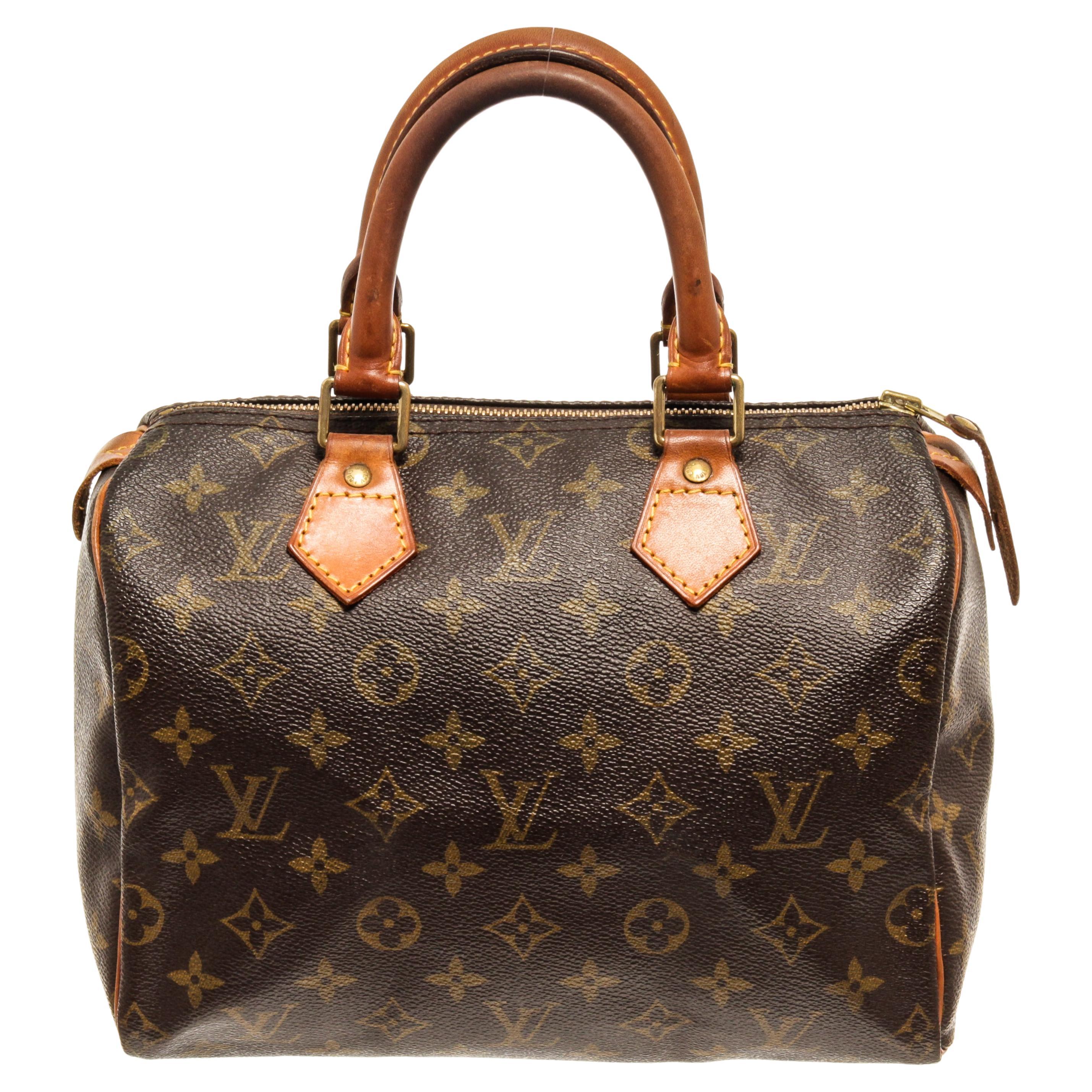 Louis Vuitton Speedy 25 cm Handbag For Sale at 1stDibs