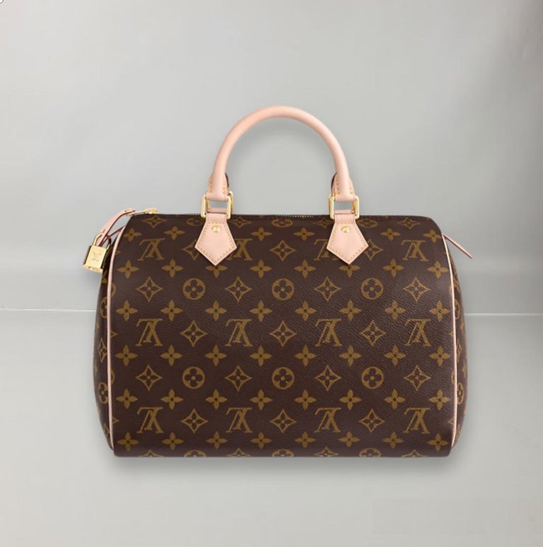 Louis Vuitton Speedy 30 Material Monogram Canvas For Sale at 1stDibs