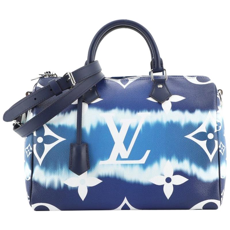 Louis Vuitton Sofia Coppola SC Bag Leather BB at 1stDibs