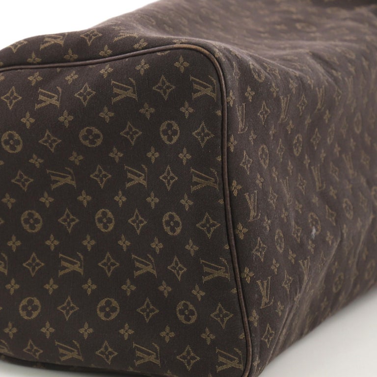 Louis Vuitton Speedy Handbag Mini Lin 30, at 1stDibs