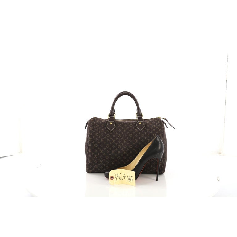 Louis Vuitton Speedy Handbag Mini Lin 30, at 1stDibs