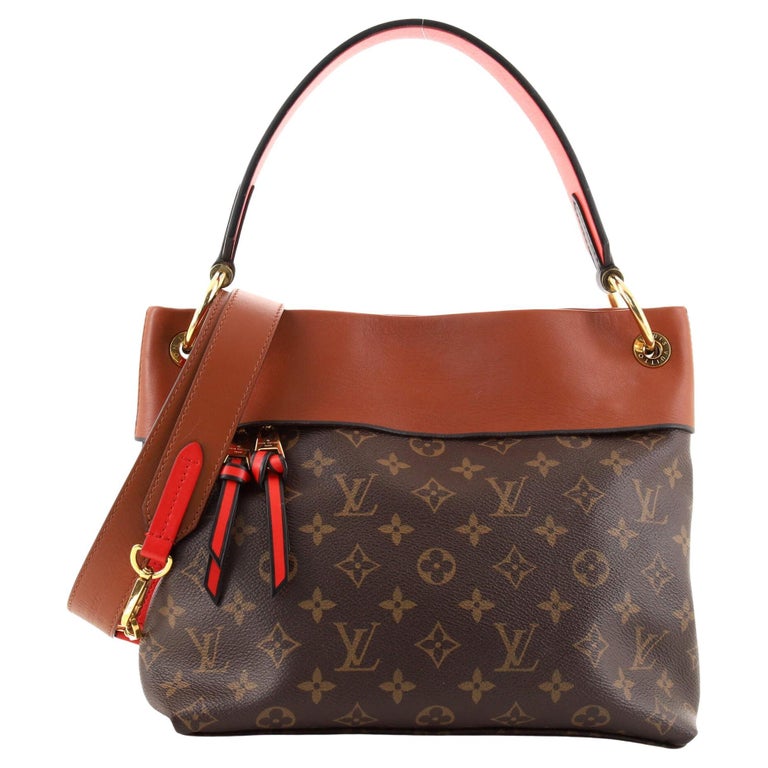 Louis Vuitton Tuileries Besace Bag Monogram Canvas with Leather For ...