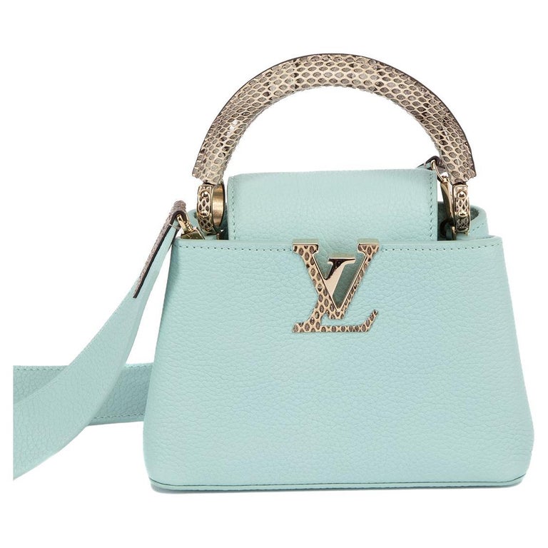 Louis Vuitton Women's Mini Capucines Bag For Sale at 1stDibs