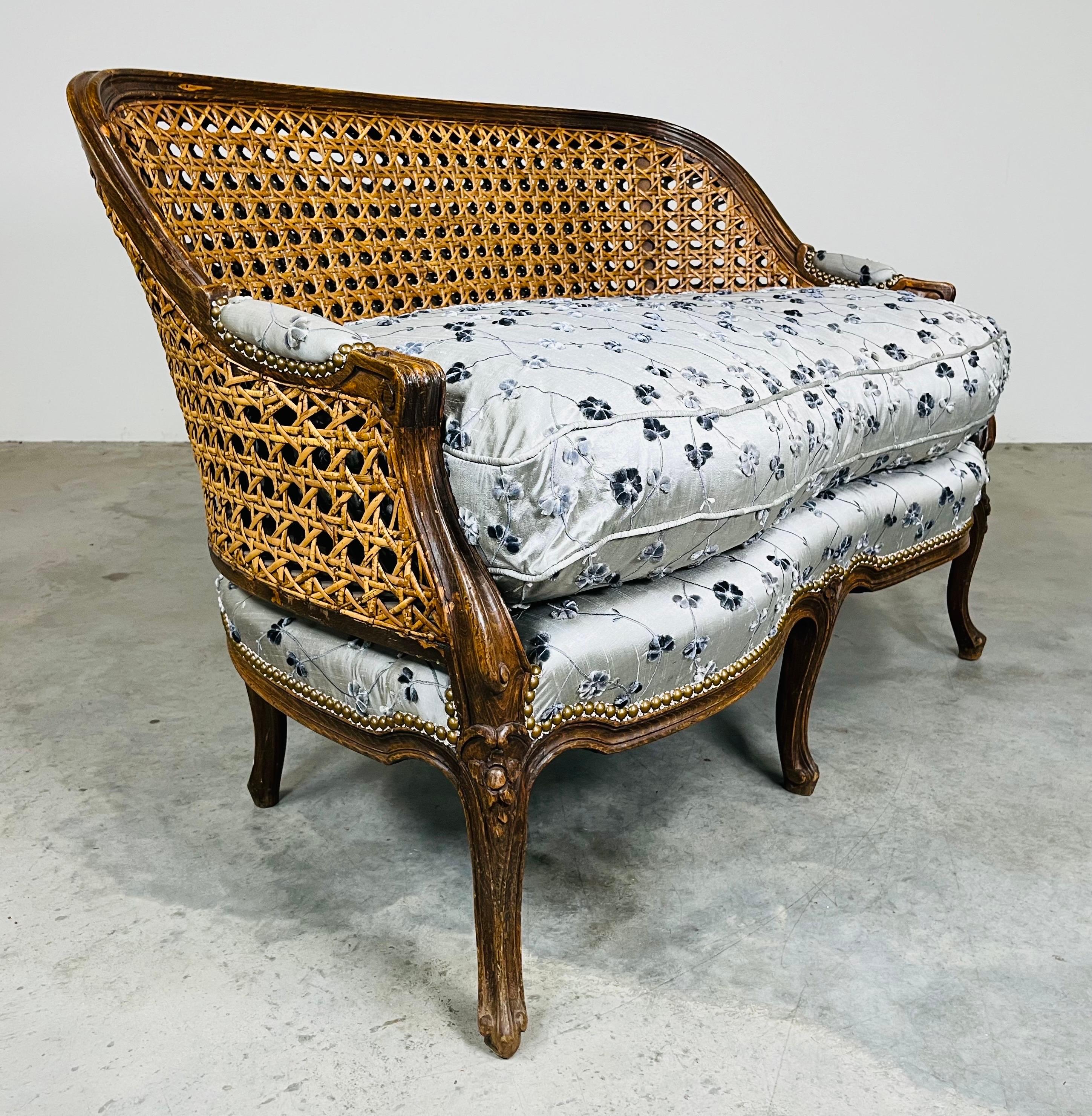 Louis XV Style Blue Velvet and Satin French Walnut Cane Back Settee ...