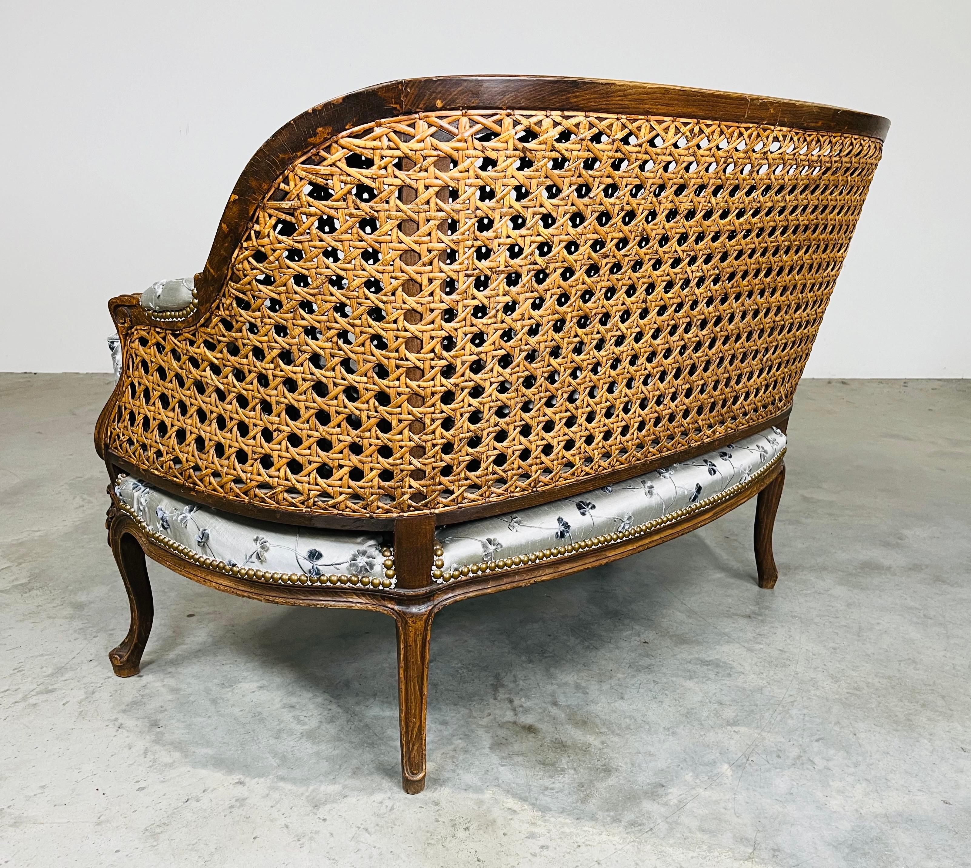 Louis XV Style Blue Velvet and Satin French Walnut Cane Back Settee ...