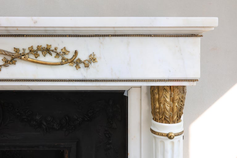Beautiful 19th Century Louis XVI Antique Fireplace from Chateau de la ...