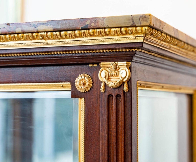 Louis XVI Style Display Case End of the 19th Century For Sale at 1stDibs