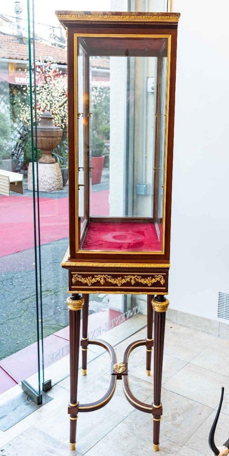 Louis XVI Style Display Case End of the 19th Century For Sale at 1stDibs