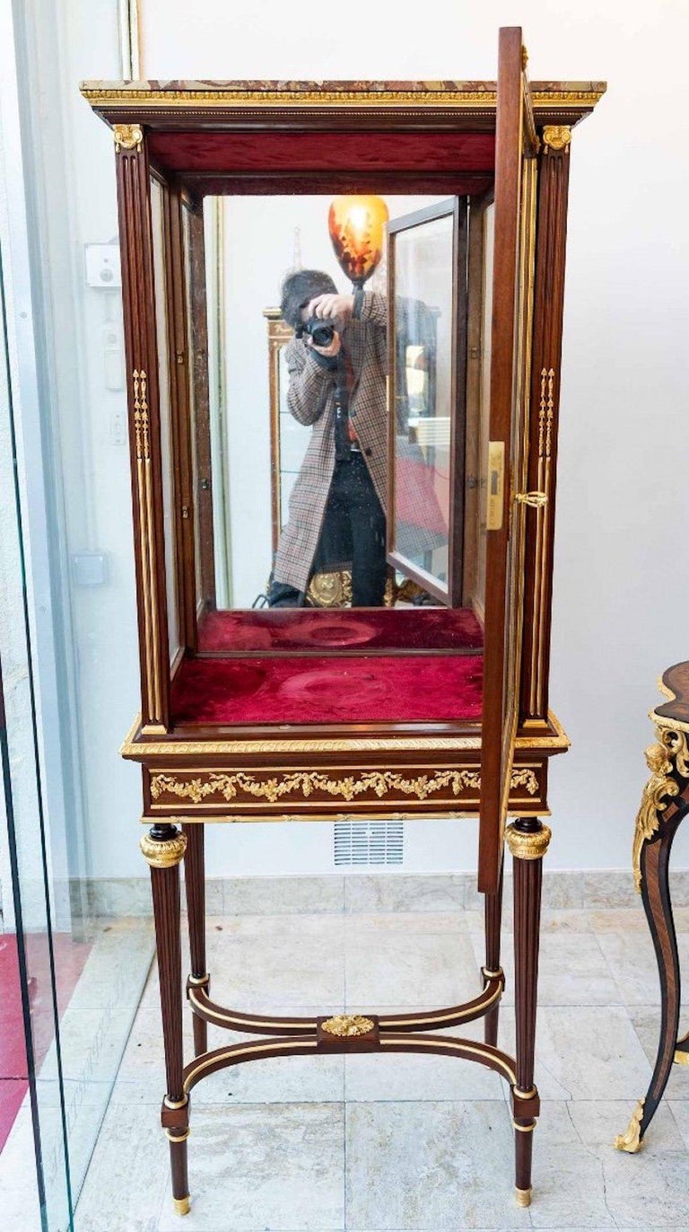 Louis XVI Style Display Case End of the 19th Century For Sale at 1stDibs