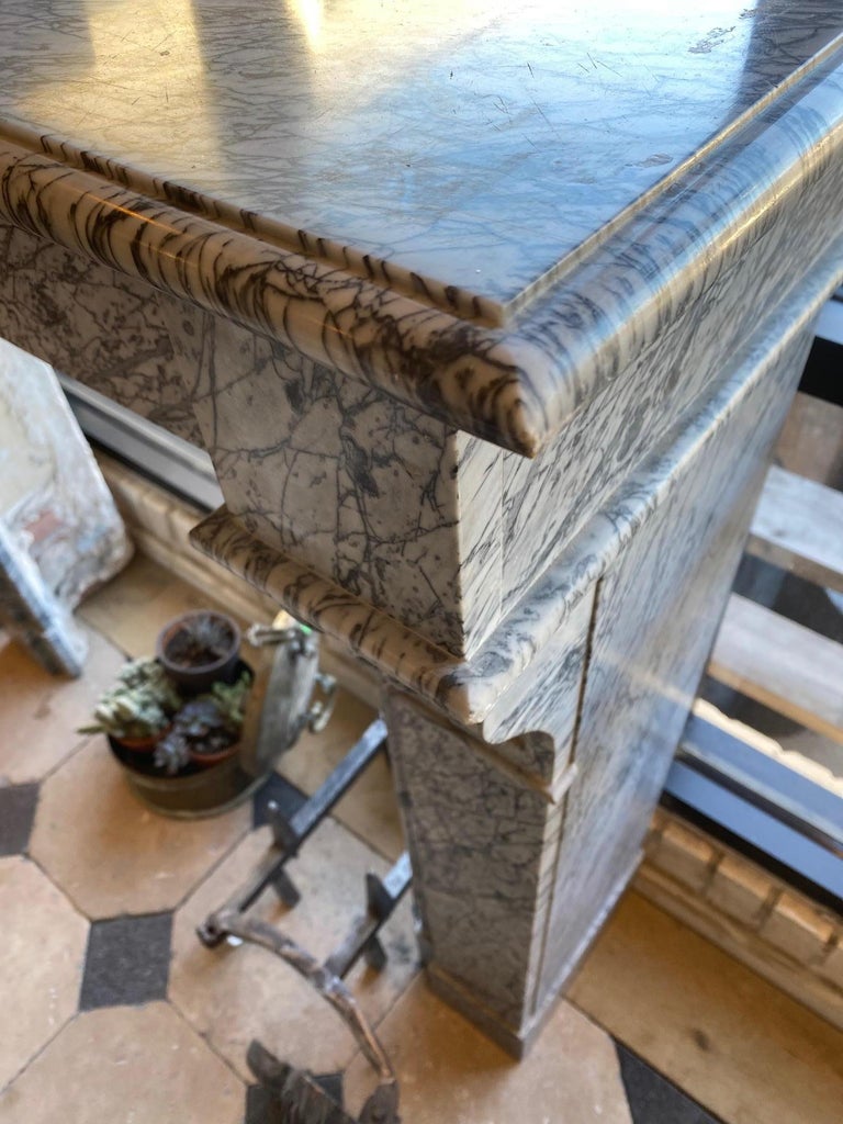 Louis XVI Style “Marble Gris” Mantel, Late 19th Century For Sale at 1stDibs