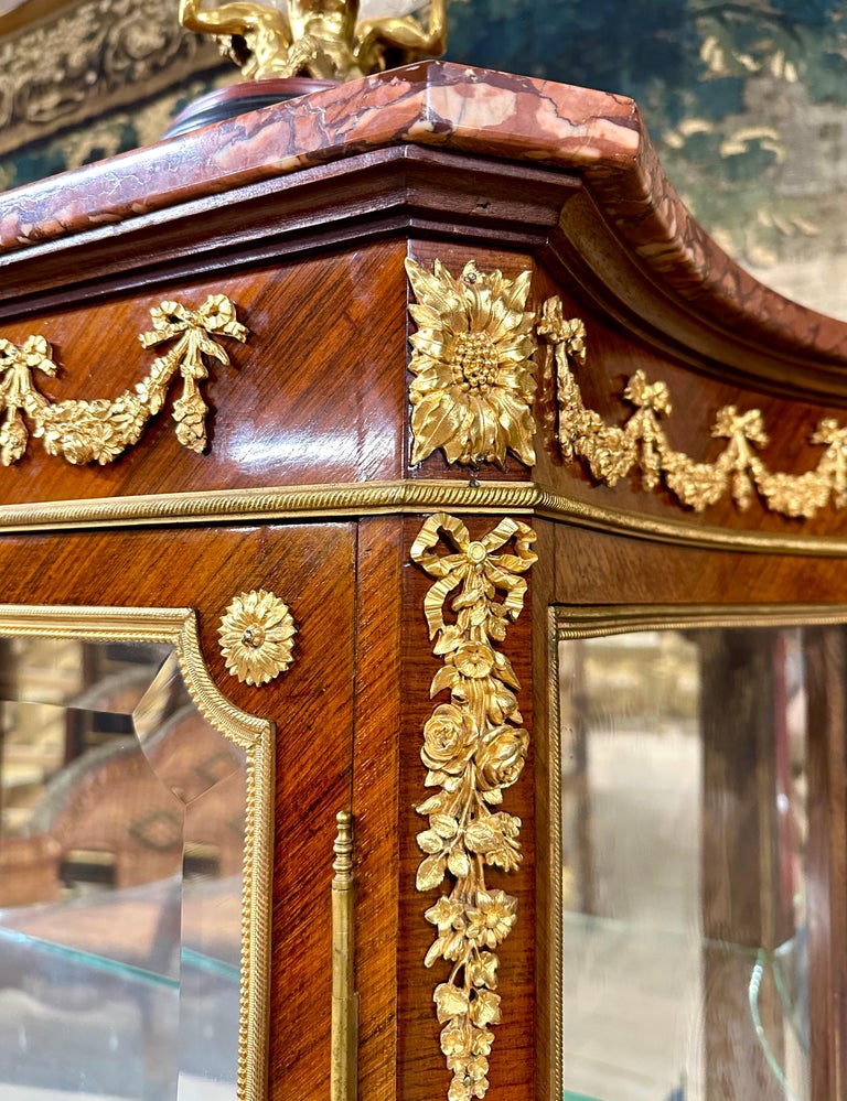 Louis XVI Style Showcase in Violet Wood and Gilt Bronzes, Napoleon III ...