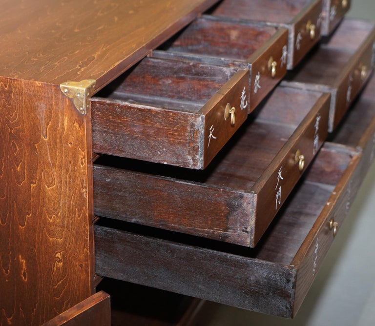 Lovely Chinese Burr and Burl Elm Apothecary Chest of Drawers with ...