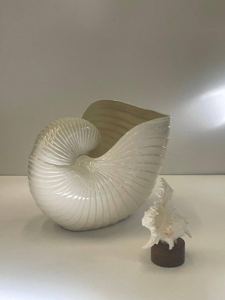 Lovely Large Italian Blanc de Chine Pottery Shell Shaped Vase For Sale ...