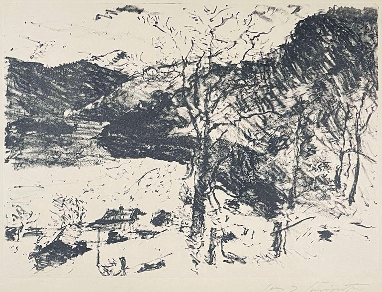 Lovis Corinth - Berg See (Mountain Lake) For Sale at 1stDibs