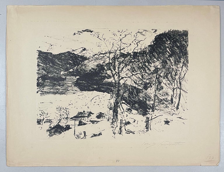 Lovis Corinth - Berg See (Mountain Lake) For Sale at 1stDibs