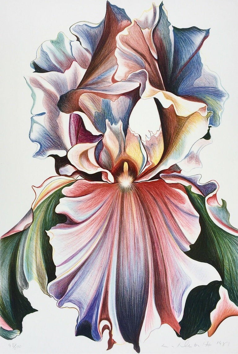 Lowell Nesbitt - Iris, Lowell Nesbitt For Sale at 1stDibs