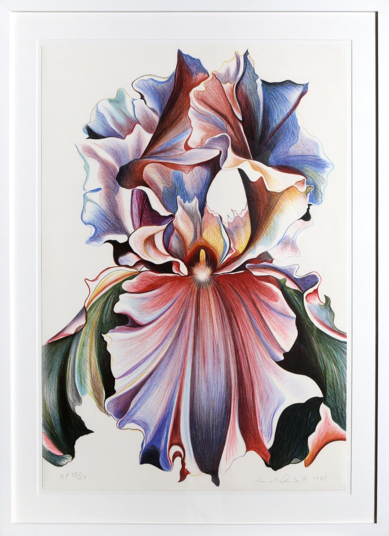 Lowell Nesbitt - Multicolor Iris For Sale at 1stDibs