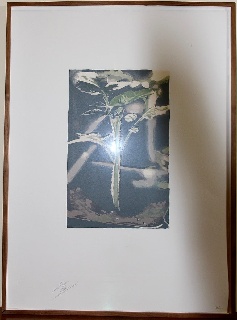 Luc Tuymans - Luc Tuymans, "Gene" Number 98/100, signed and numbered ...