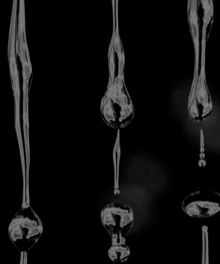 Luca Artioli - Biltmore water 08invbnsolbnpart. Black and White ...