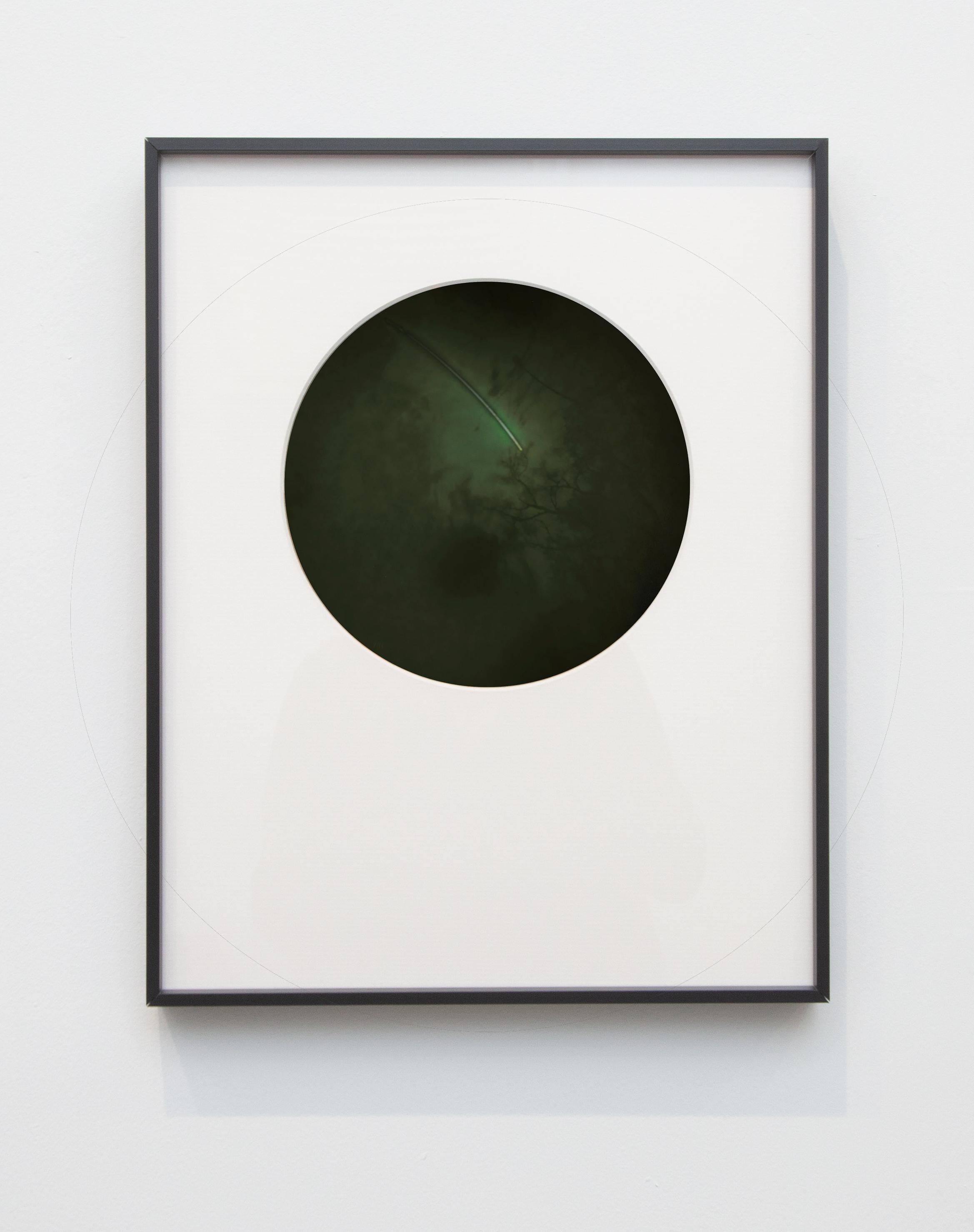 Christopher Bucklow Art - 3 For Sale at 1stDibs