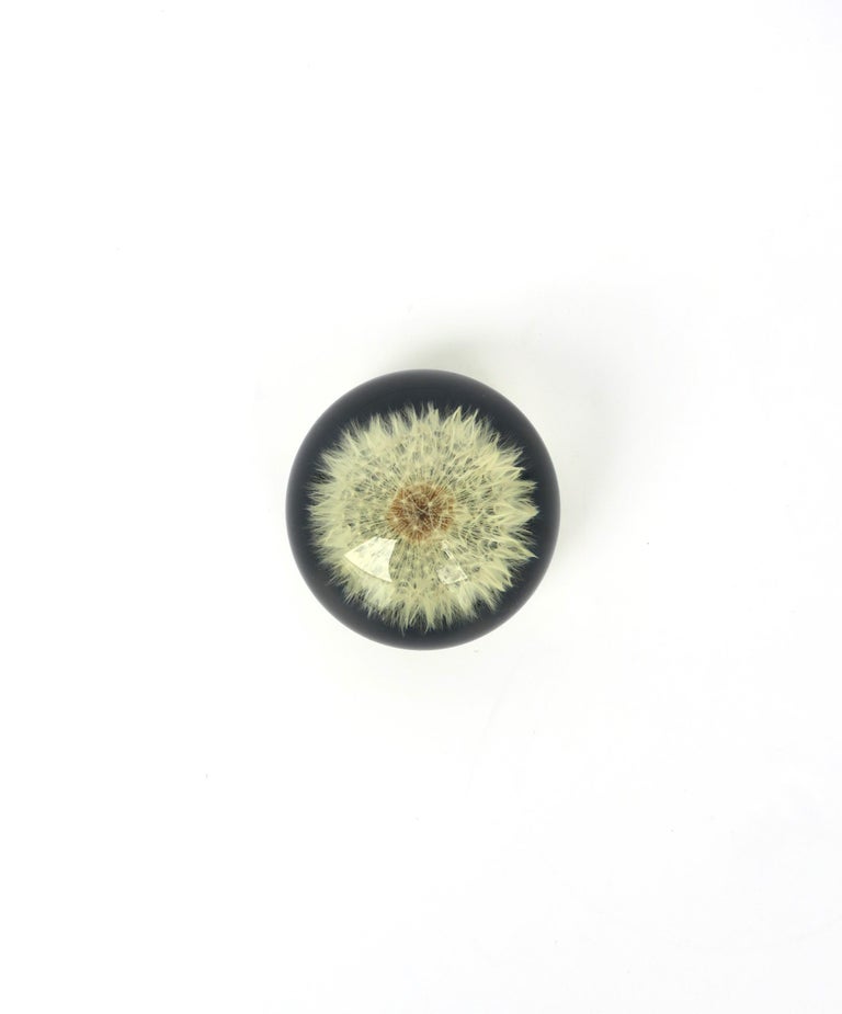 Lucite Encased Dandelion Flower Decorative Object Paperweight For Sale ...