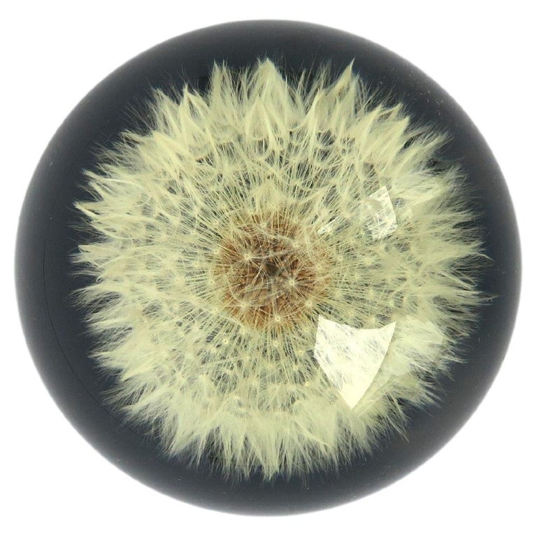 Lucite Encased Dandelion Flower Decorative Object Paperweight For Sale ...