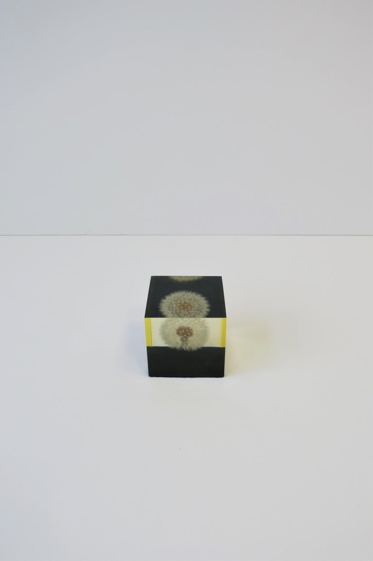 Lucite Encased Dandelion Flower at 1stDibs