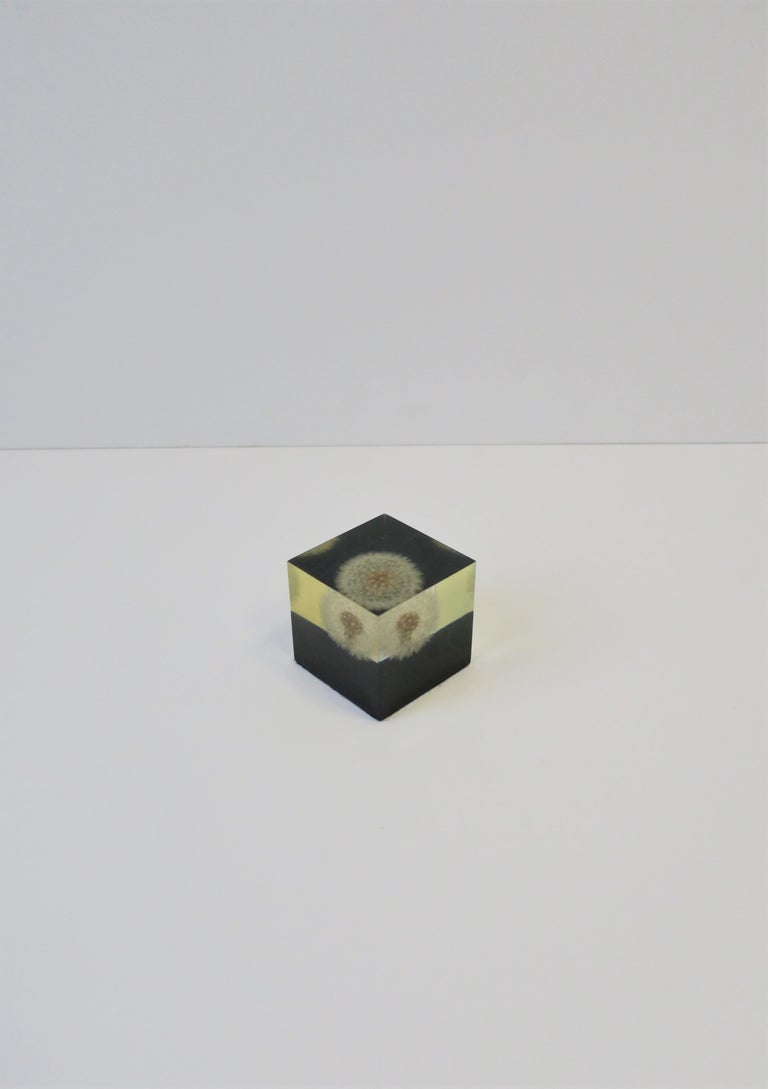 Lucite Encased Dandelion Flower at 1stDibs