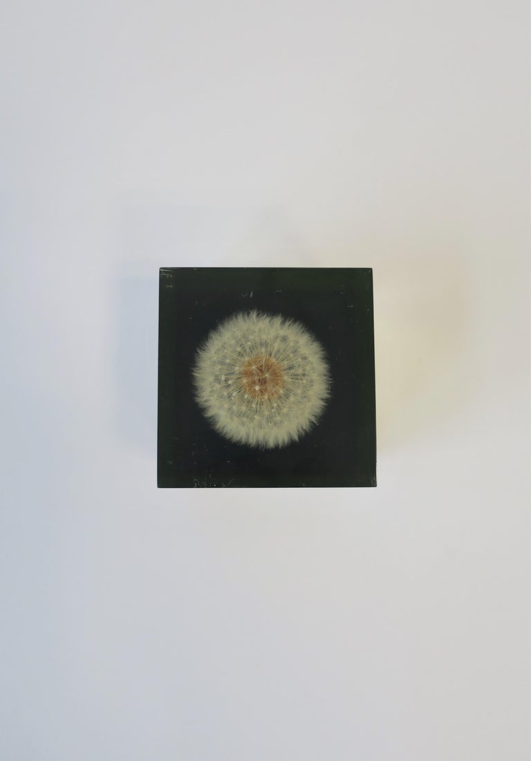 Lucite Encased Dandelion Flower at 1stDibs