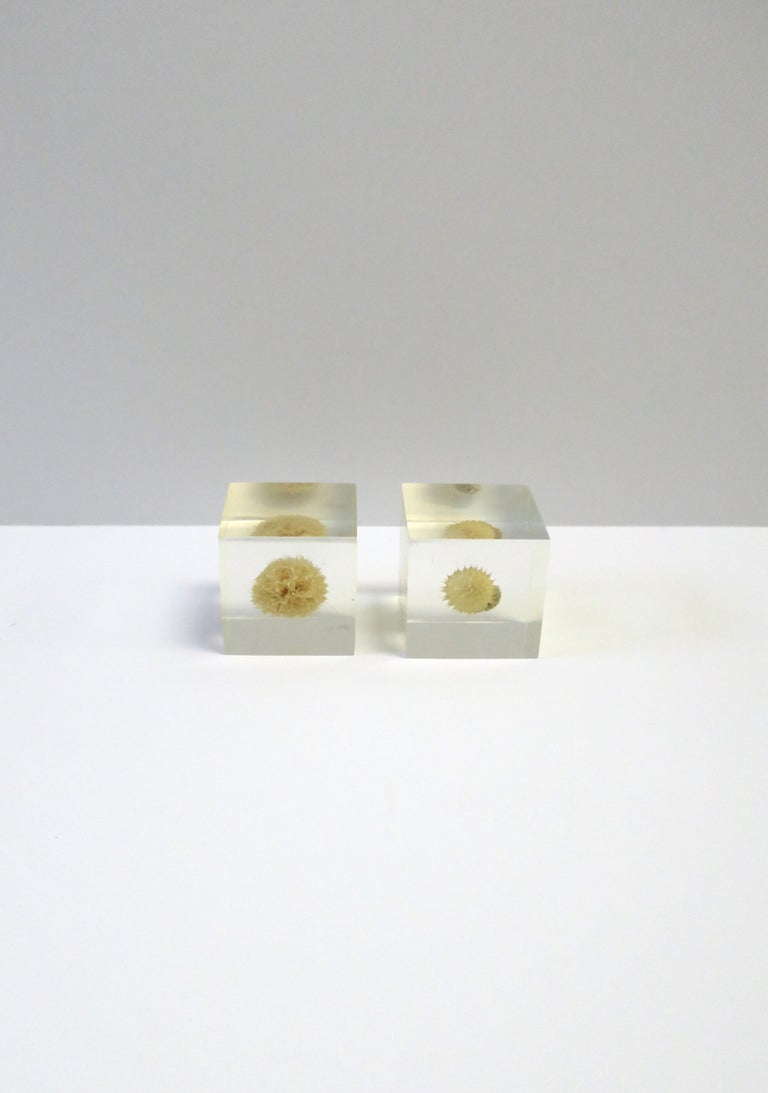 Lucite Flower Bud Cubes Decorative Objects Organic Modern, Set of 2 For ...