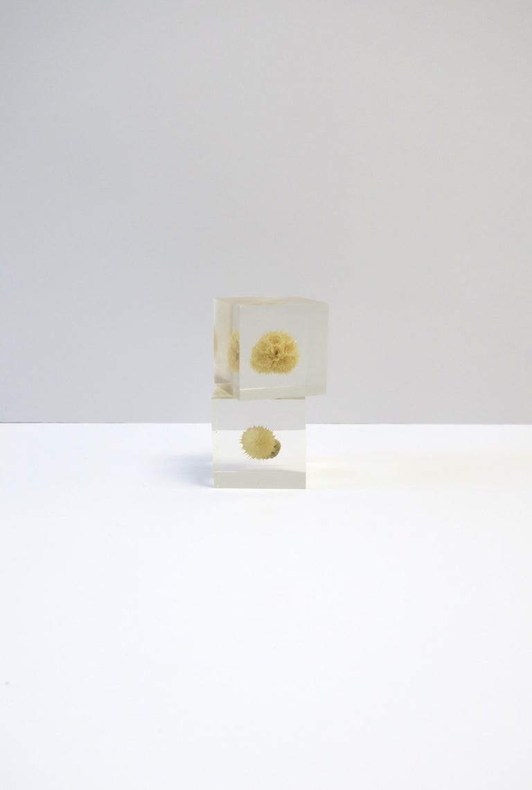 Lucite Flower Bud Cubes Decorative Objects Organic Modern, Set of 2 For ...