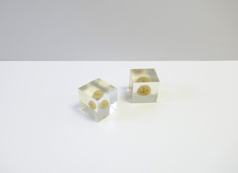 Lucite Flower Bud Cubes Decorative Objects Organic Modern, Set of 2 For ...