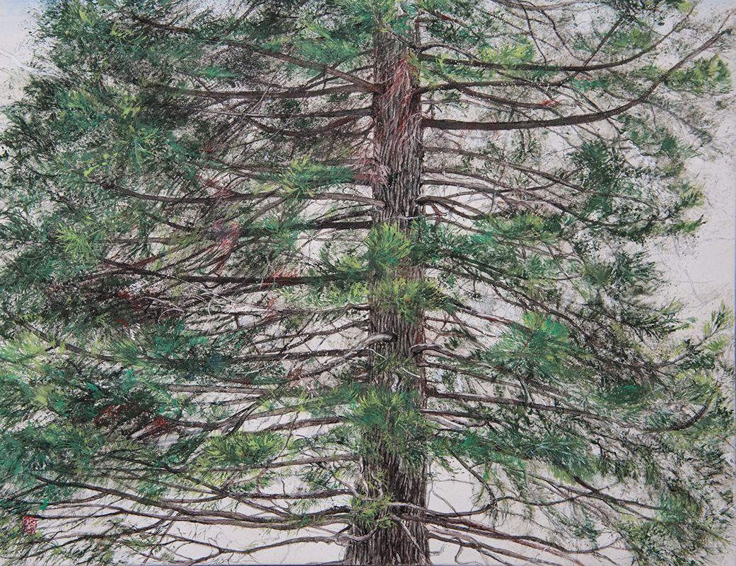 Lumi Mizutani - Tree of Fire – Hinoki by Lumi Mizutani - Japanese style ...