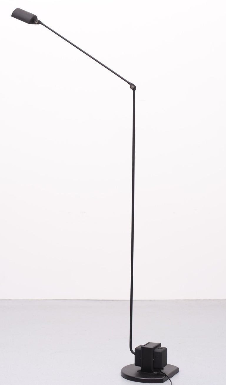 Lumina Daphine LED Floor Lamp Tomasso Chimini at 1stDibs