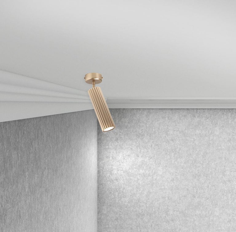 Lustrin Ceiling Lamp by Luce Tu For Sale at 1stDibs