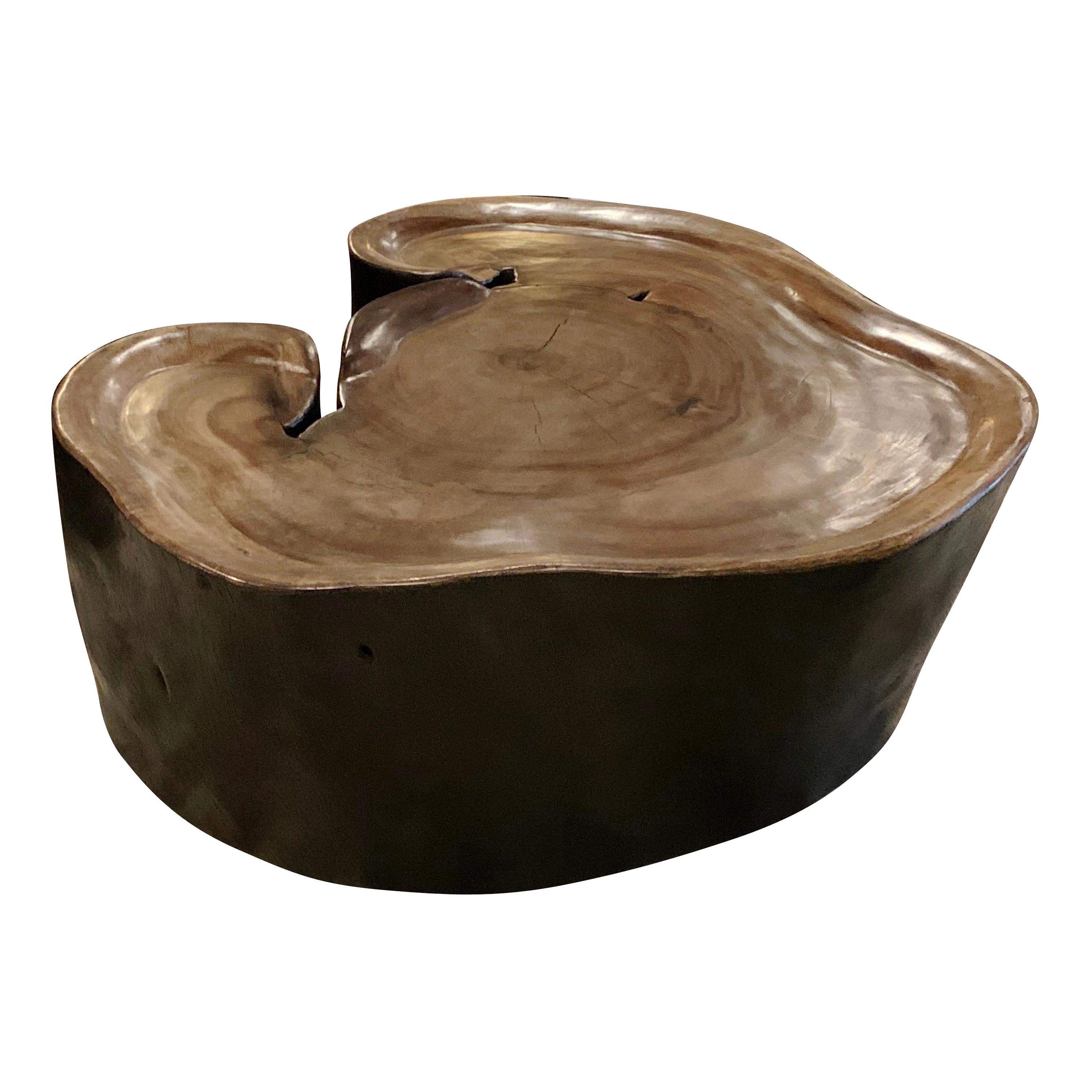 Lychee Wood Freeform Shape Coffee Table, Indonesia, Contemporary at 1stDibs