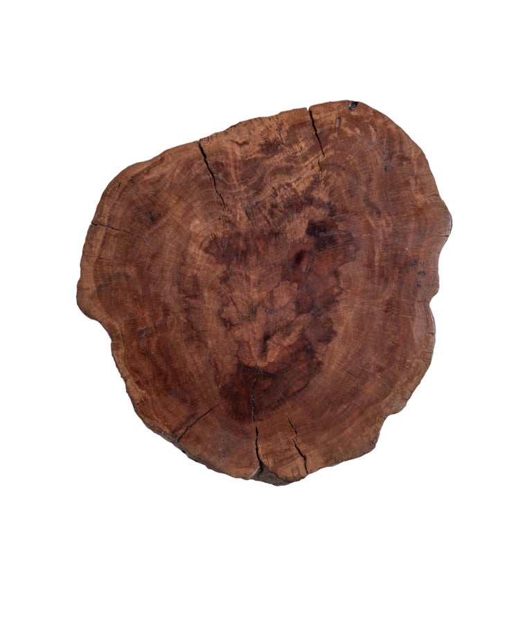 Lychee Wood Organic Form Side Table For Sale at 1stDibs