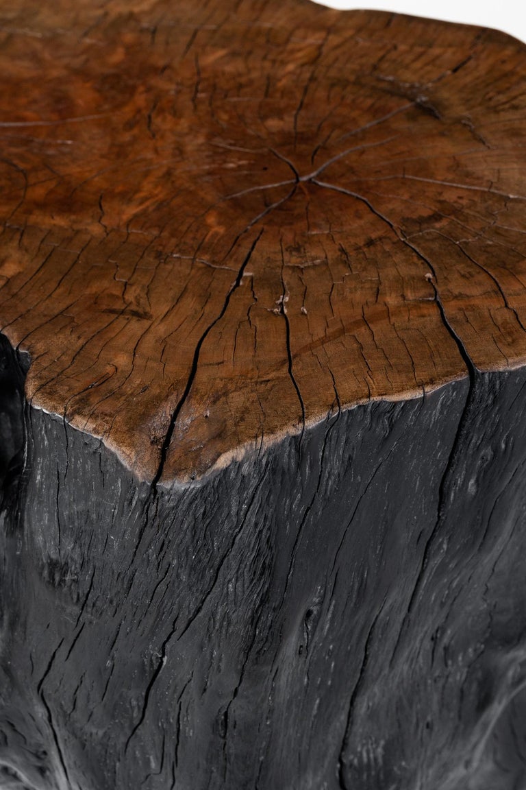 Lychee Wood Stump End Table For Sale at 1stDibs | lychee wood for sale