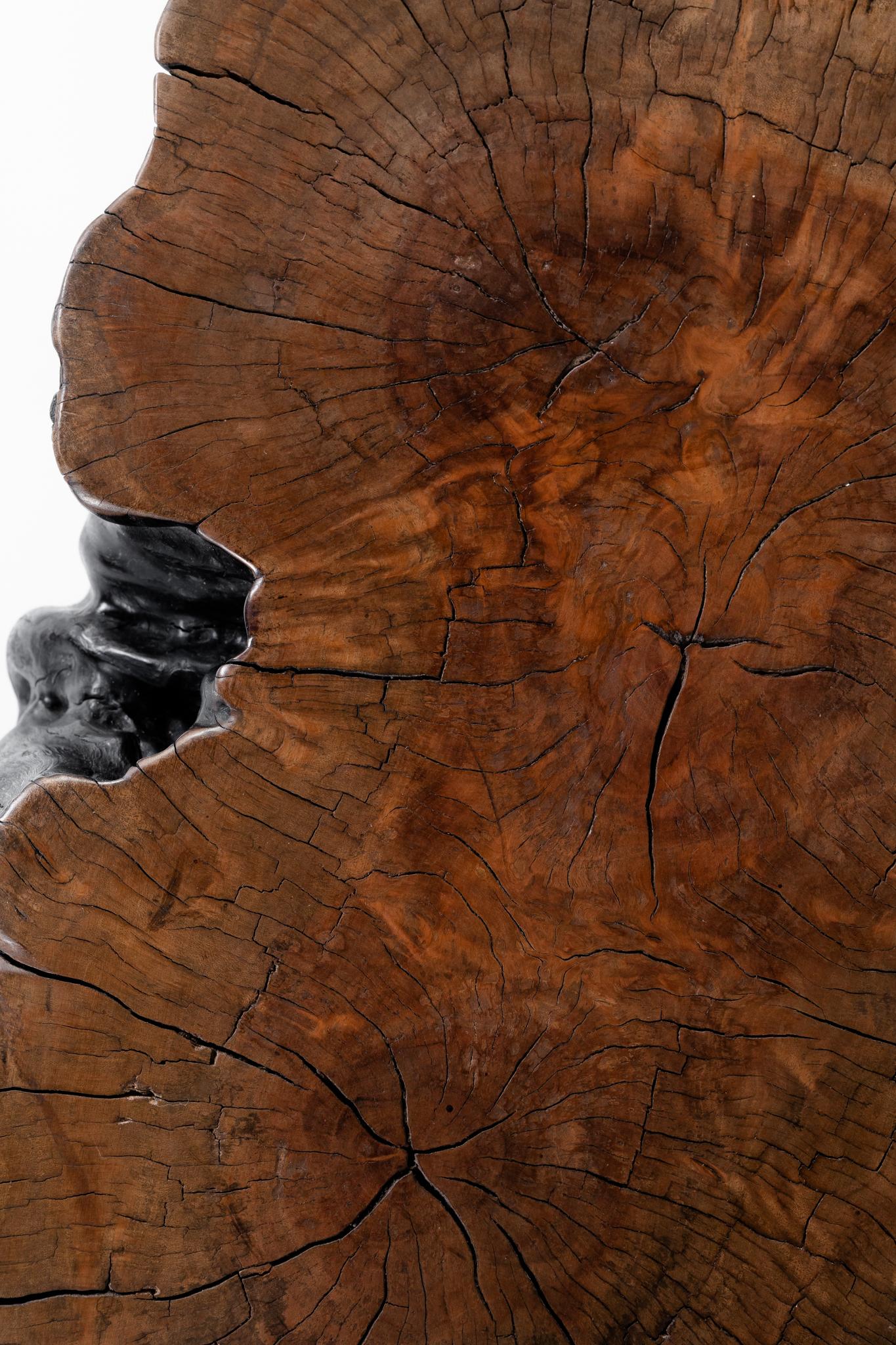 Lychee Wood Stump End Table For Sale at 1stDibs | lychee wood for sale