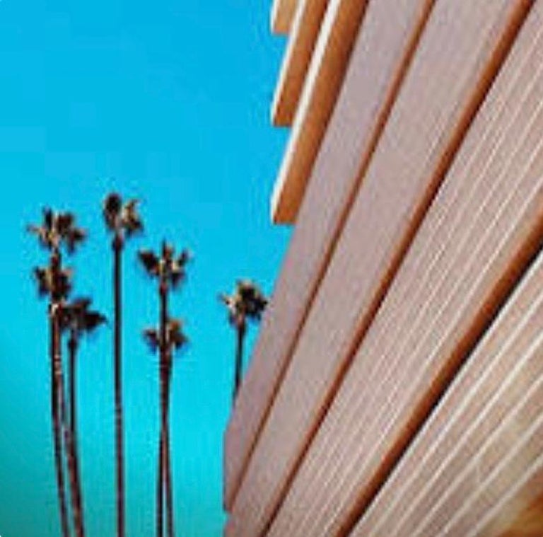 Lynne Deutch - Lynne Deutch, Sierra Towers, Framed at 1stDibs