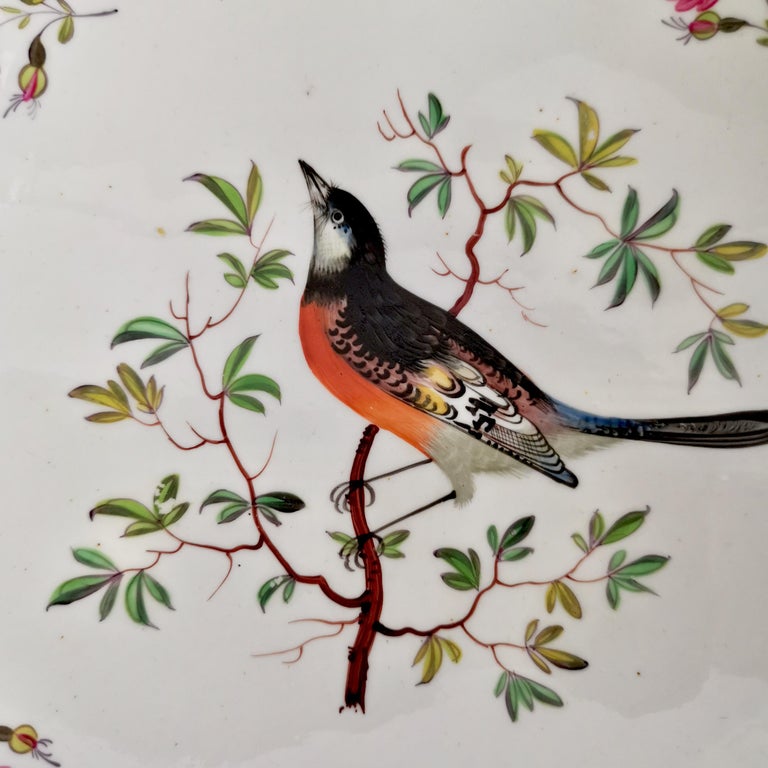 Machin Porcelain Dessert Service, Moustache Shape, White, Birds ...