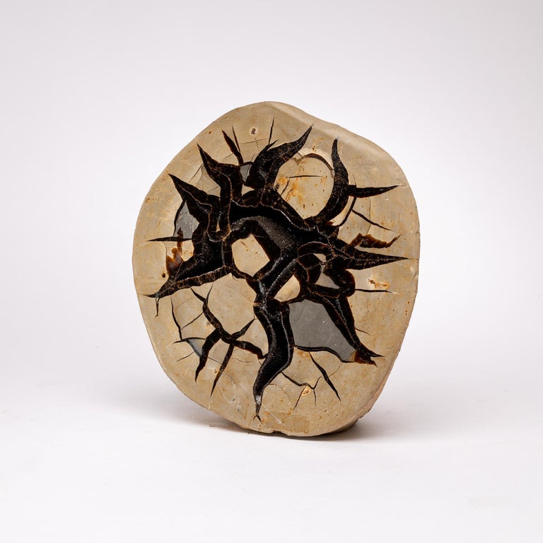 Madagascar Septarian Calcite Nodule End Cut Free Standing at 1stDibs