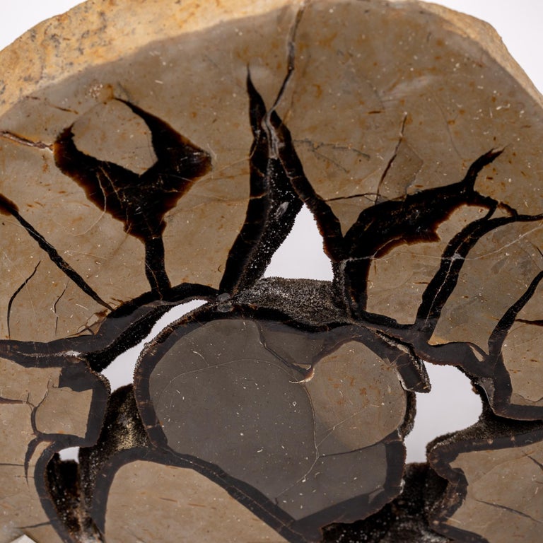 Madagascar Septarian Calcite Nodule Slab on Aluminum Base at 1stDibs