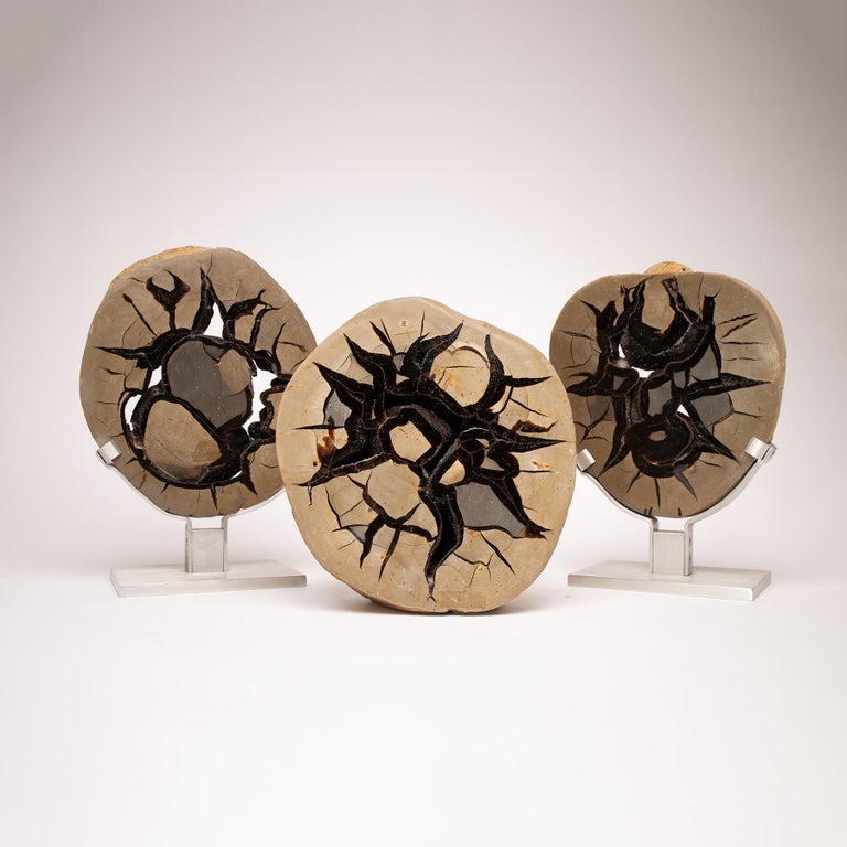 Madagascar Septarian Calcite Nodule Slab on Aluminum Base at 1stDibs